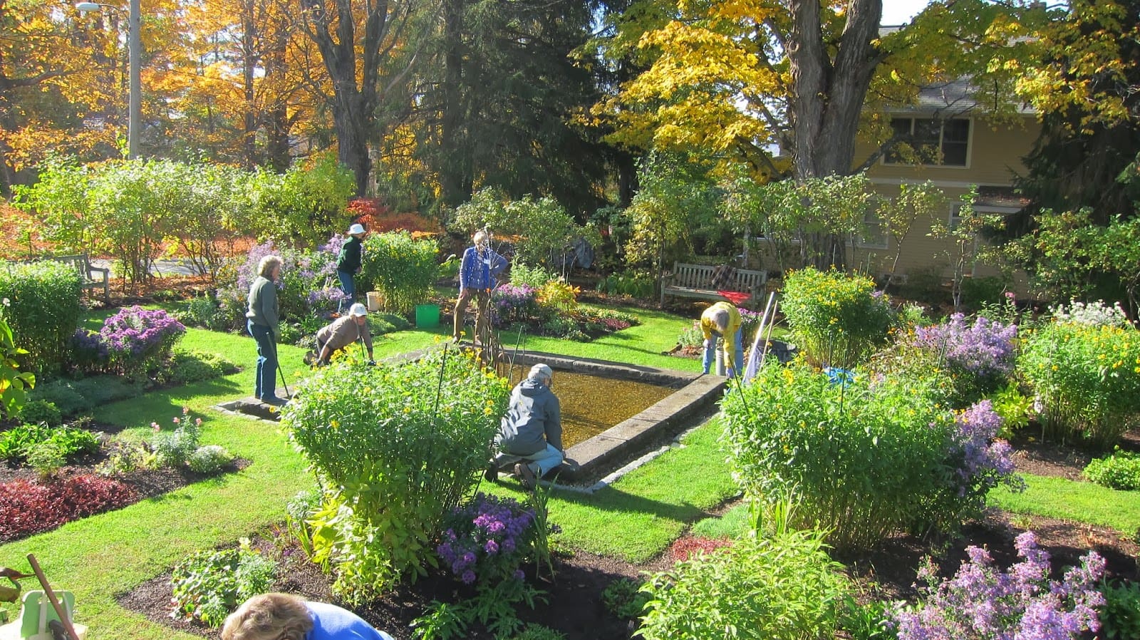 Volunteer | Garden at Tracy Library