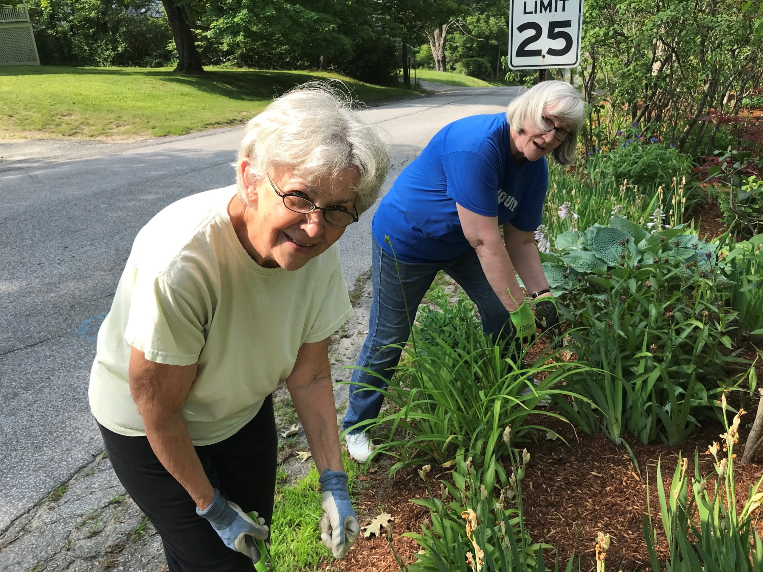 Volunteer | Garden at Tracy Library
