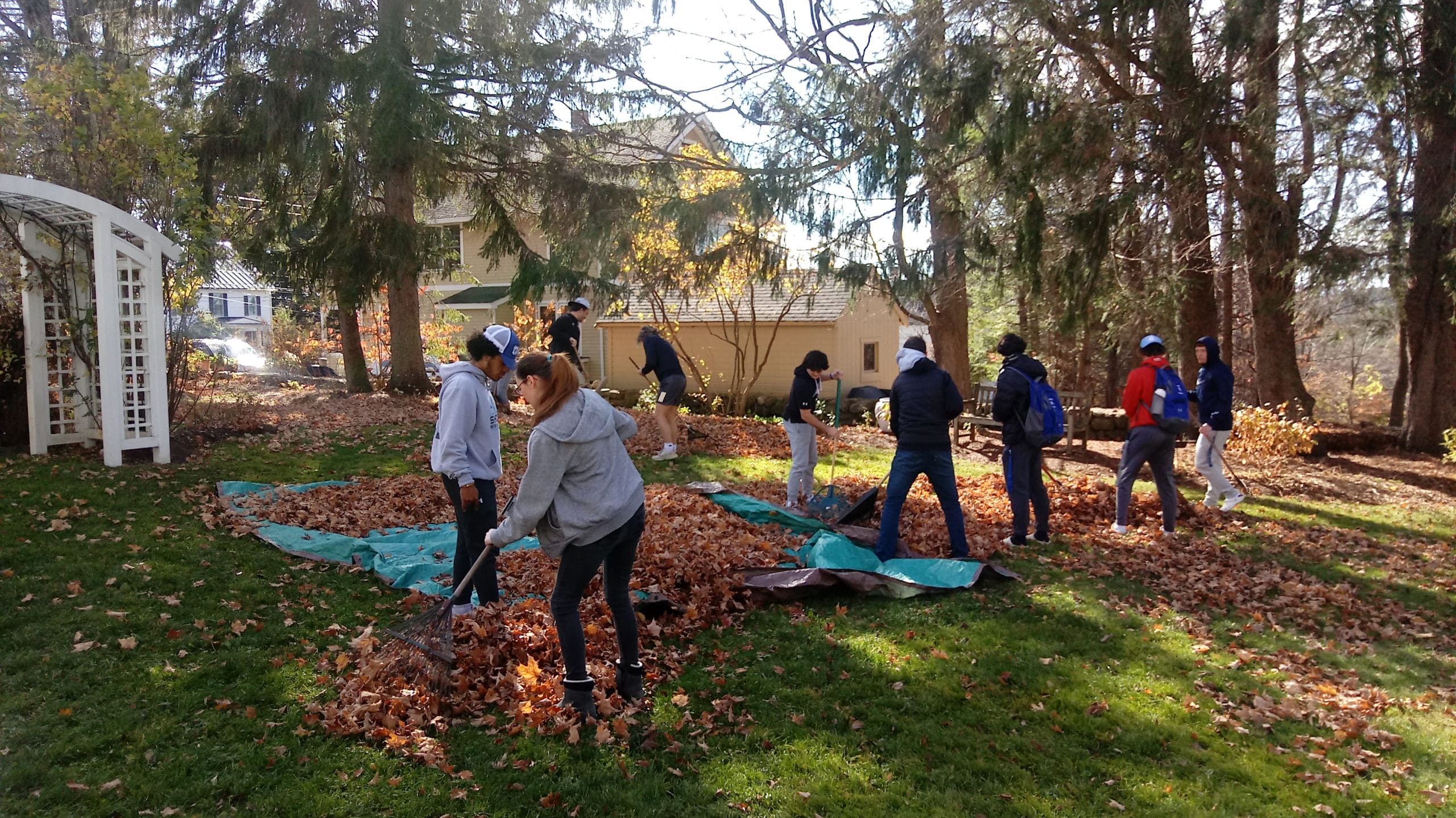 Volunteer | Garden at Tracy Library